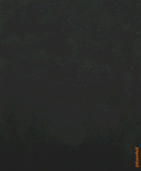 A murder of crows GIFs - Obtenez le meilleur gif sur GIFER