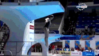 Dive GIFs - Get the best gif on GIFER