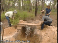 Colony GIFs - Get the best gif on GIFER