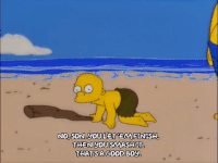 Crawl GIFs - Get the best gif on GIFER
