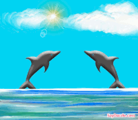 Delfin GIFs - Get the best gif on GIFER