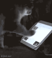 Dump GIFs - Get the best gif on GIFER