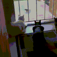 Prey GIFs - Get the best gif on GIFER