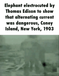 Thomas edison GIF - Conseguir o melhor gif em GIFER