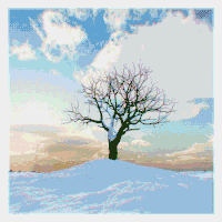 Tree GIFs - Get the best gif on GIFER