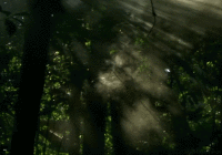 Mist GIFs - Get the best gif on GIFER