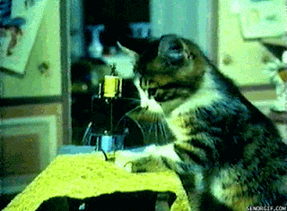 Infortnios GIF - Conseguir o melhor gif em GIFER