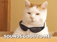 Replying GIFs - Get the best gif on GIFER