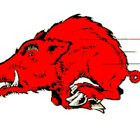 Razorback GIFs - Get the best gif on GIFER