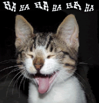 Dying laughing GIF - Conseguir o melhor gif em GIFER