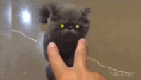 Jousting GIFs - Get the best gif on GIFER