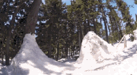 Precise GIFs - Get the best gif on GIFER