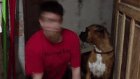Mimic GIFs - Get the best gif on GIFER