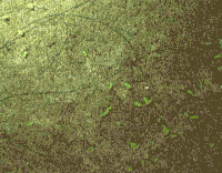 Computational GIFs - Get the best gif on GIFER