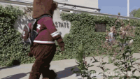 Msu GIFs - Get the best gif on GIFER