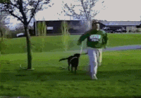 Payback GIFs - Get the best gif on GIFER