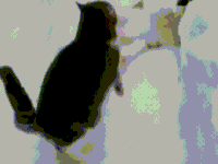 Seek GIFs - Get the best gif on GIFER