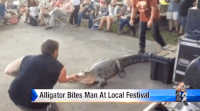 Alligator GIFs - Get the best gif on GIFER