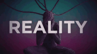 Reality GIFs - Get the best gif on GIFER