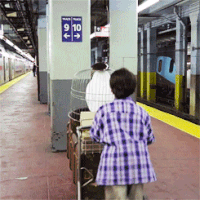 Improvisation GIFs - Get the best gif on GIFER