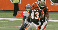 Interception GIFs - Get the best gif on GIFER