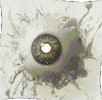 Eyeball GIFs - Get the best gif on GIFER