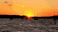 Sailboat GIFs - Get the best gif on GIFER