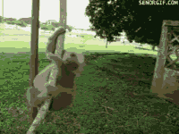Navigating GIFs - Get the best gif on GIFER