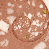 Botulinum GIFs - Get the best gif on GIFER