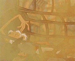 Semesternow GIFs - Get the best gif on GIFER