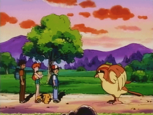 Pidgeot GIF - Conseguir o melhor gif em GIFER