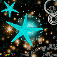 Starfish GIFs - Get the best gif on GIFER