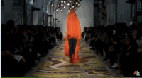 Pucci GIFs - Get the best gif on GIFER