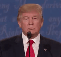 Trump GIFs - Get the best gif on GIFER