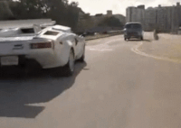 Countach GIFs - Get the best gif on GIFER