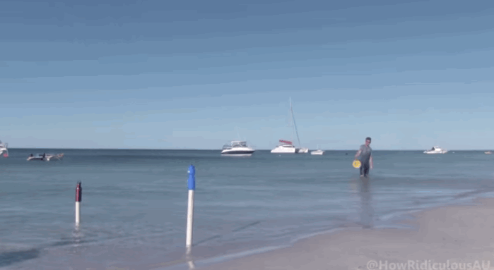 Compulsive behavior GIF - Conseguir o melhor gif em GIFER