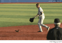 Loose GIFs - Get the best gif on GIFER