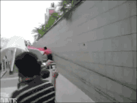 Worker GIFs - Get the best gif on GIFER