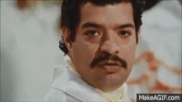 Queso GIFs - Get the best gif on GIFER
