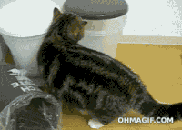 Squeezes GIFs - Get the best gif on GIFER