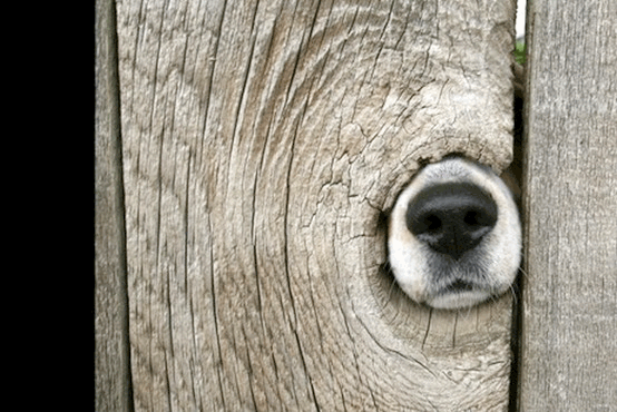 Dunno the other girls name GIF - Conseguir o melhor gif em GIFER