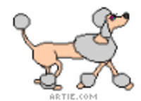 Пудель GIFs - Get the best gif on GIFER