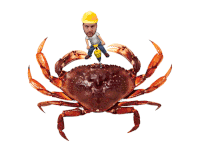 Krab GIFs - Get the best gif on GIFER