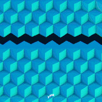 Dodo GIFs - Get the best gif on GIFER
