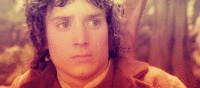 Fellowship GIFs - Get the best gif on GIFER