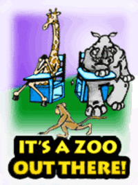 Zoo GIFs - Get the best gif on GIFER