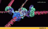 Molecular GIFs - Get the best gif on GIFER