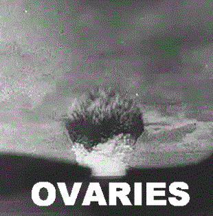 Ovary explosion GIFs - Obtenez le meilleur gif sur GIFER