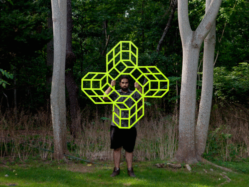 Branche GIFs - Obtenez le meilleur gif sur GIFER