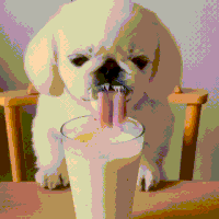 Milkshake GIFs - Get the best gif on GIFER